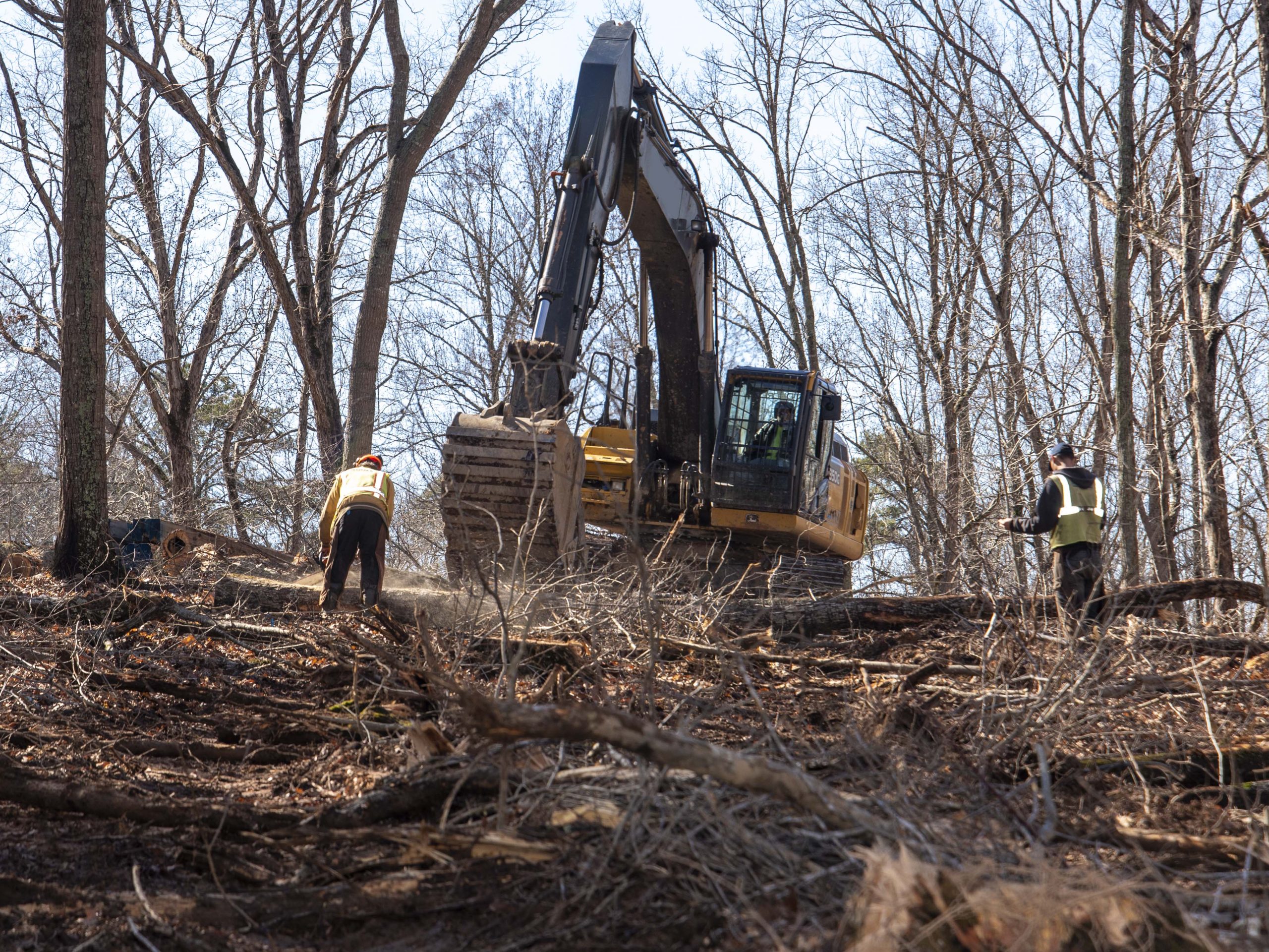 Mills At Avent Ferry - Giant Development
